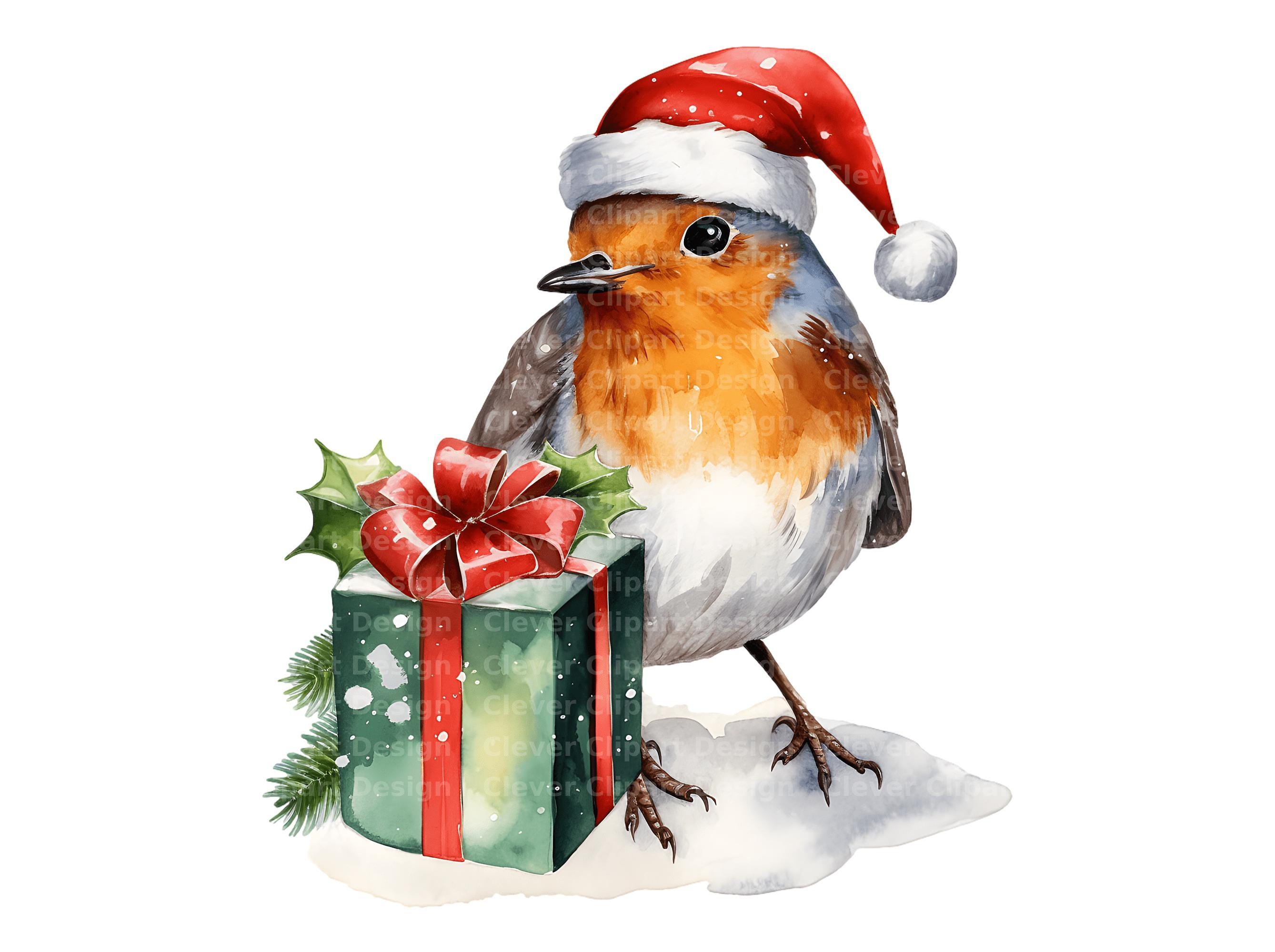 10 Christmas Robin Clipart, Robin in Santa Hat, Winter Robin PNG ...