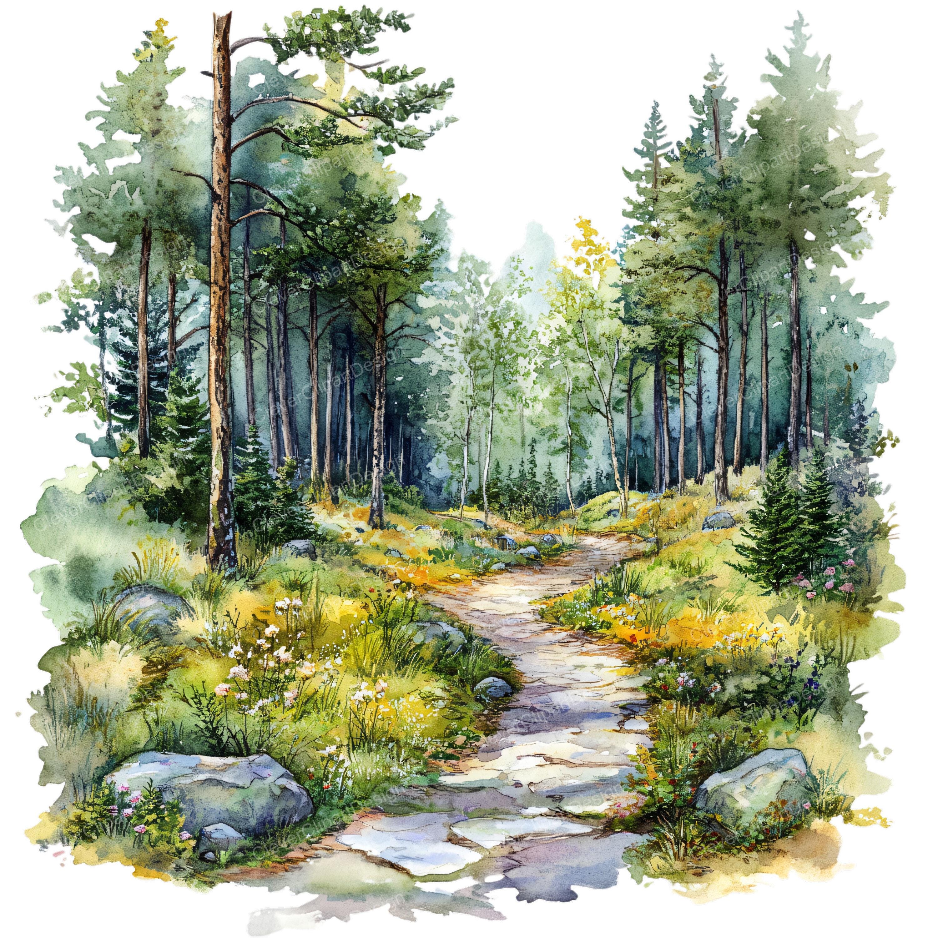 10 Forest Clipart - Watercolor Forest Trail, Woodland Path Picture (PNG ...