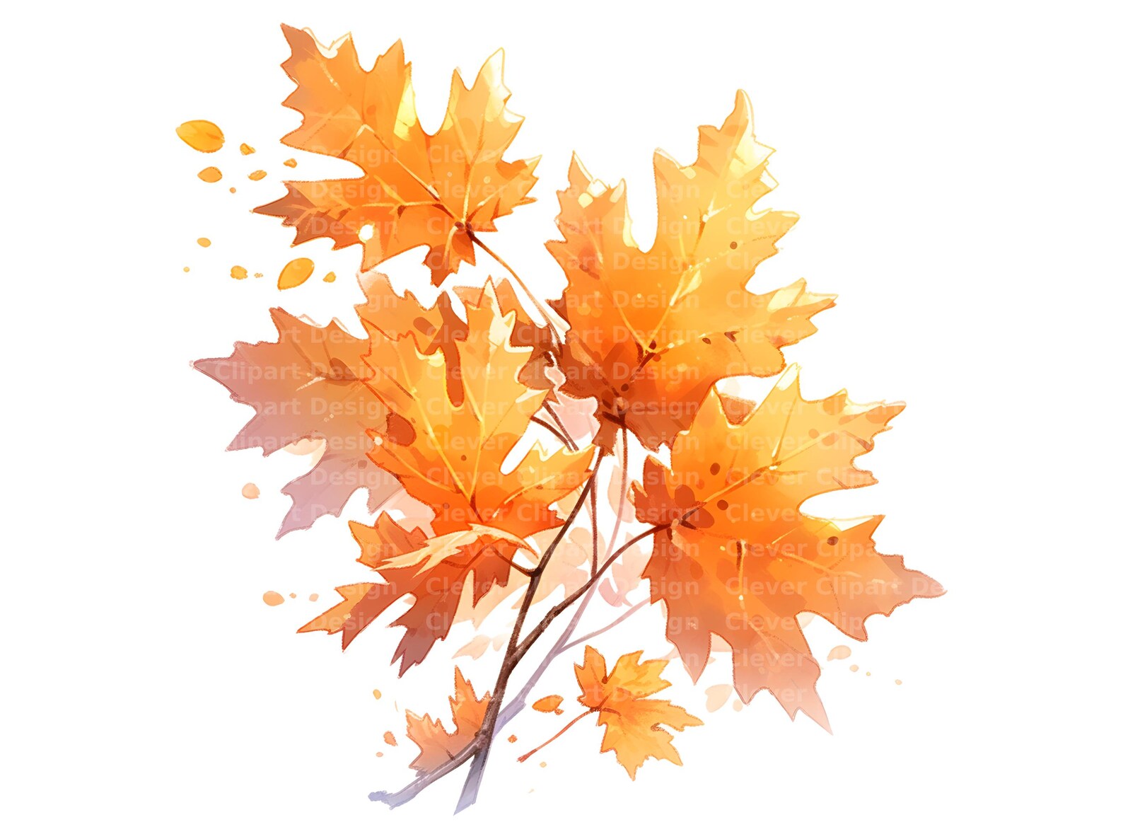 10 Autumn Leaves Clipart, Fall Leaf Clipart, Watercolor Leaf Clipart ...