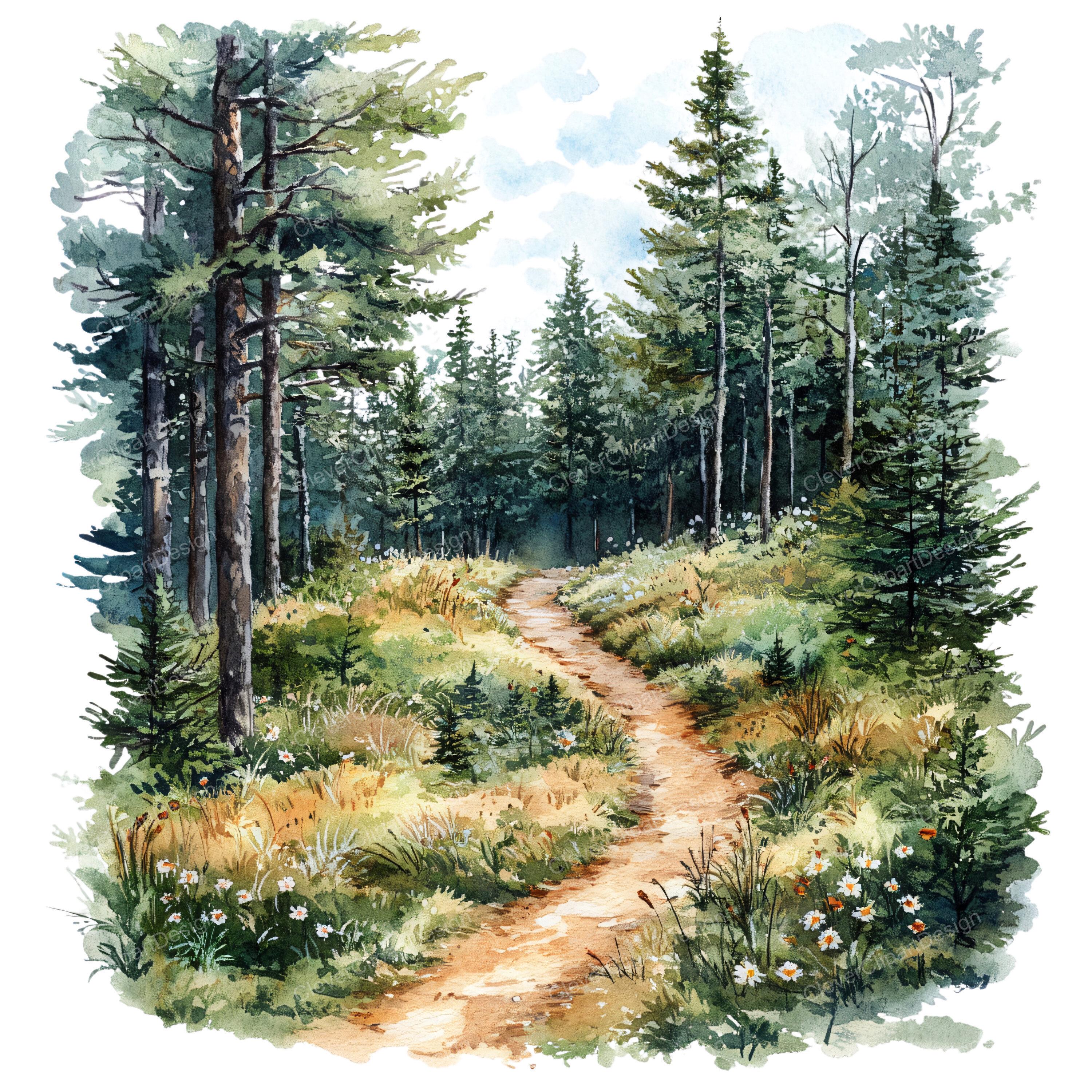 10 Forest Clipart - Watercolor Forest Trail, Woodland Path Picture (PNG ...