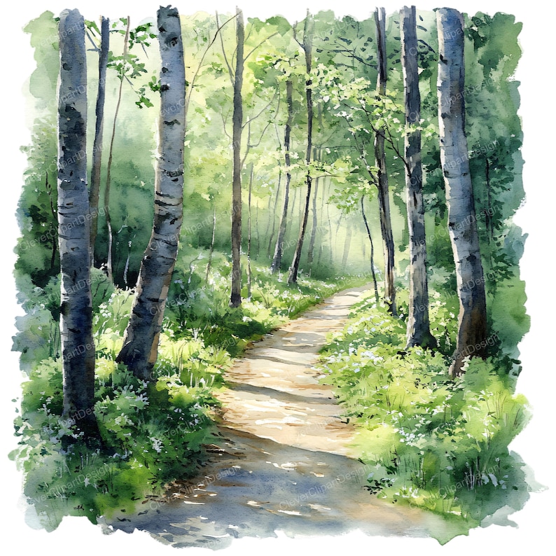 10 Forest Clipart - Watercolor Forest Trail, Woodland Path Picture (PNG ...