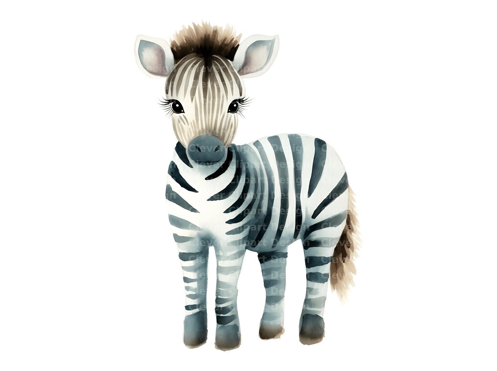 10 Cute Zebra Clipart, Nursery Zebra, Zebra PNG Bundle, Zebra Digital ...