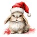 10 Christmas Bunny Clipart - Holiday Bunny With Santa Hat (PNG/JPG ...