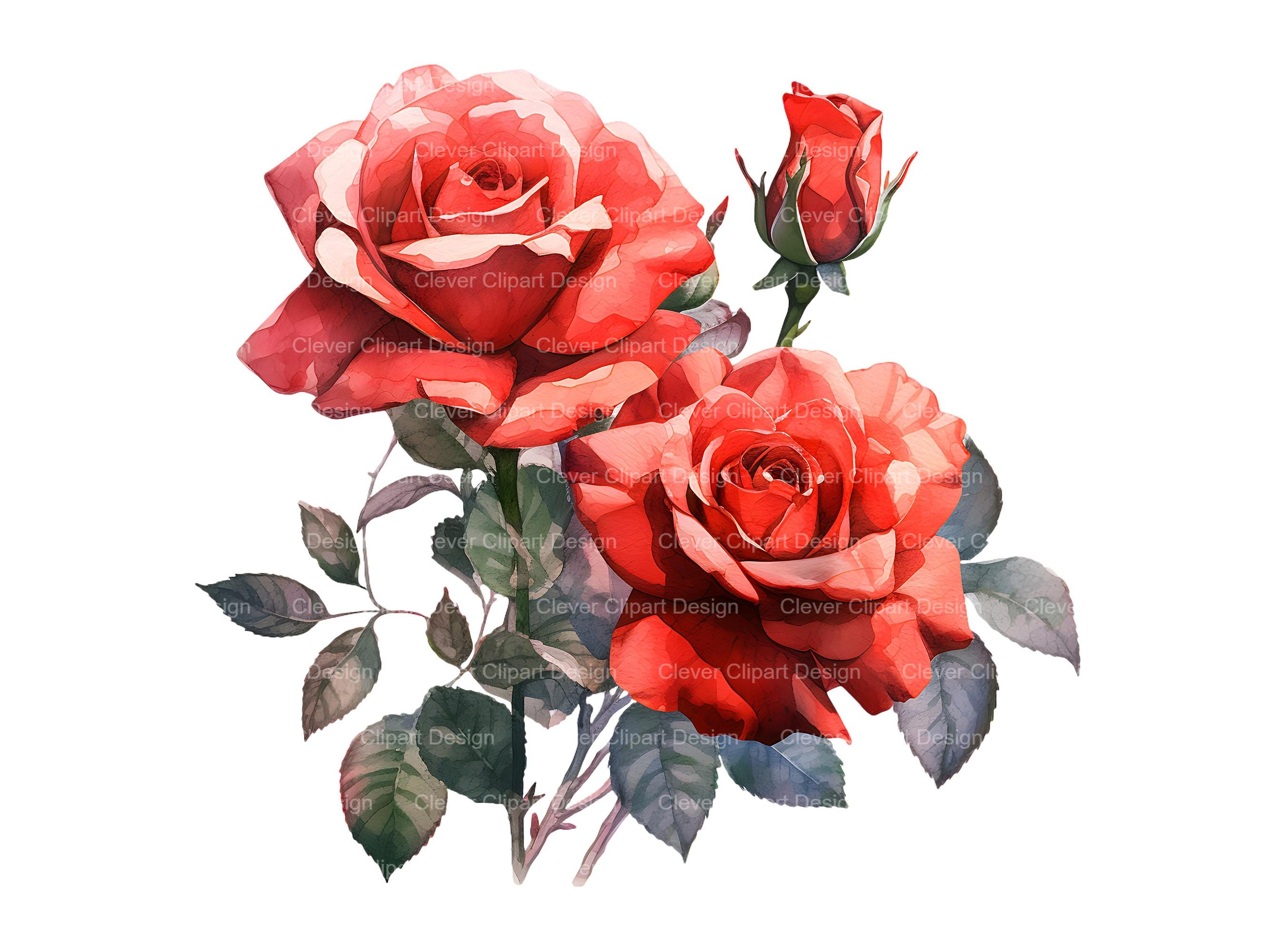 10 Red Roses Clipart, Floral Clipart, Roses Bouquet, Red Roses ...