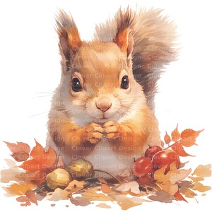 10 Autumn Squirrel Clipart, Fall Squirrel, Leaf, Printable Watercolor ...