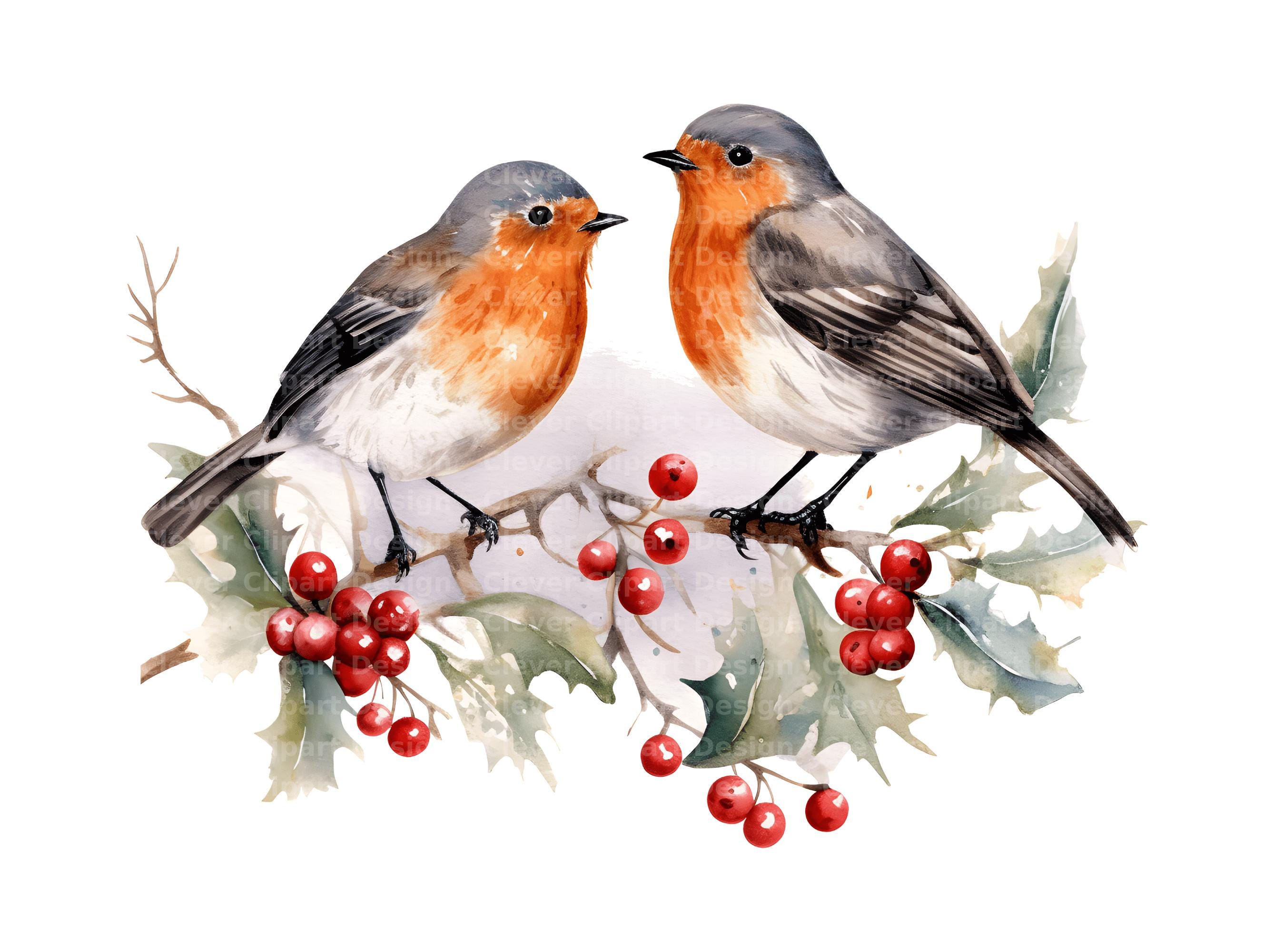 10 Christmas Robin Clipart, Winter Robin PNG, Robin Couple Clipart ...