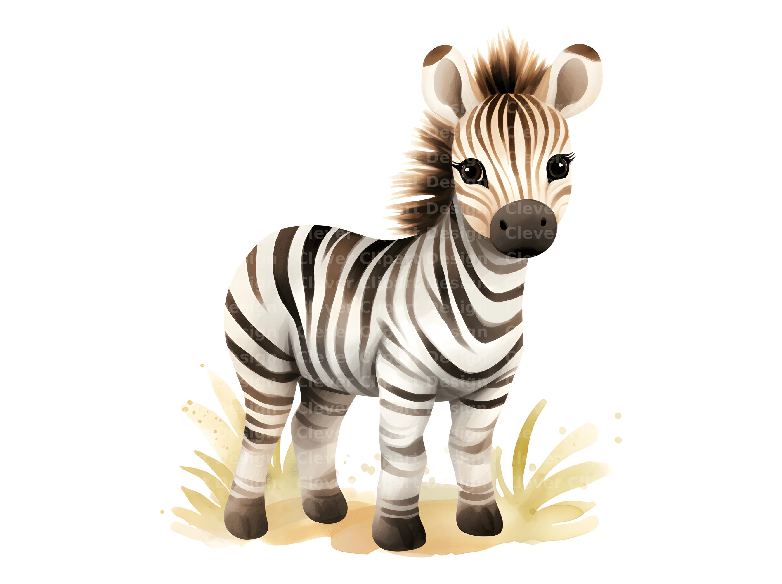 10 Zebra Clipart - Watercolor Baby Zebras, Nursery Animal Set (PNG/JPG ...