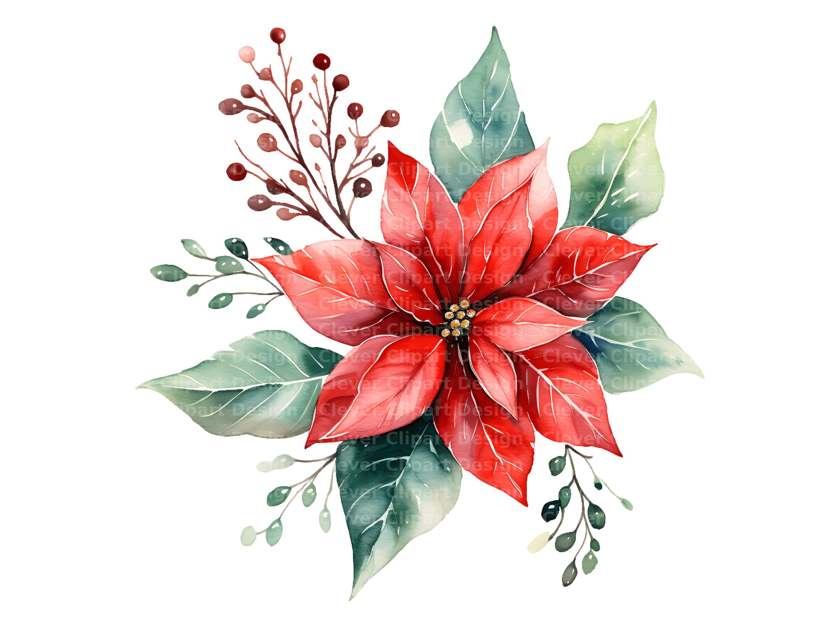 10 Christmas Poinsettia Clipart, Christmas Floral Clipart, Christmas ...