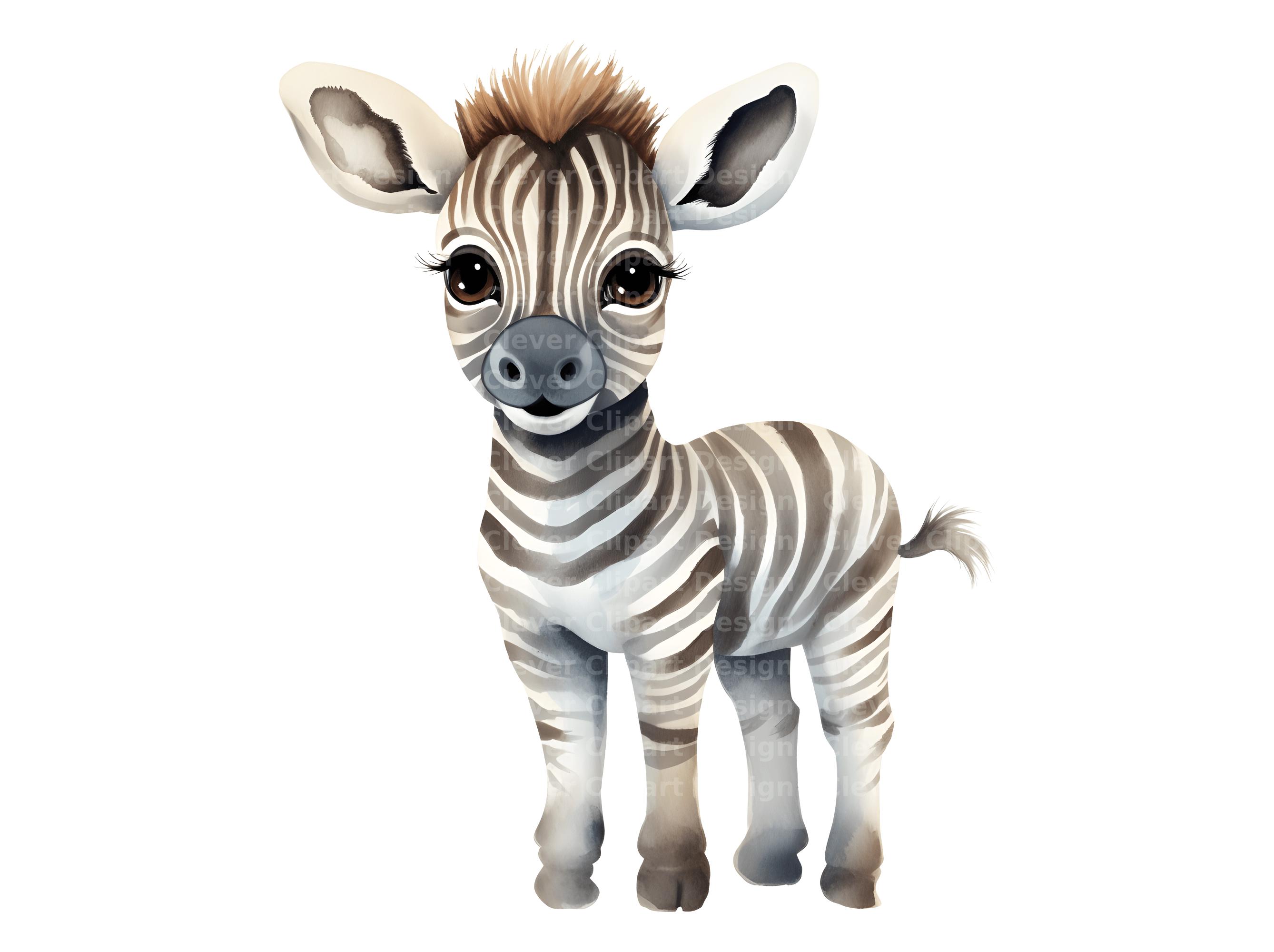 10 Zebra Clipart - Watercolor Baby Zebras, Nursery Animal Set (PNG/JPG ...