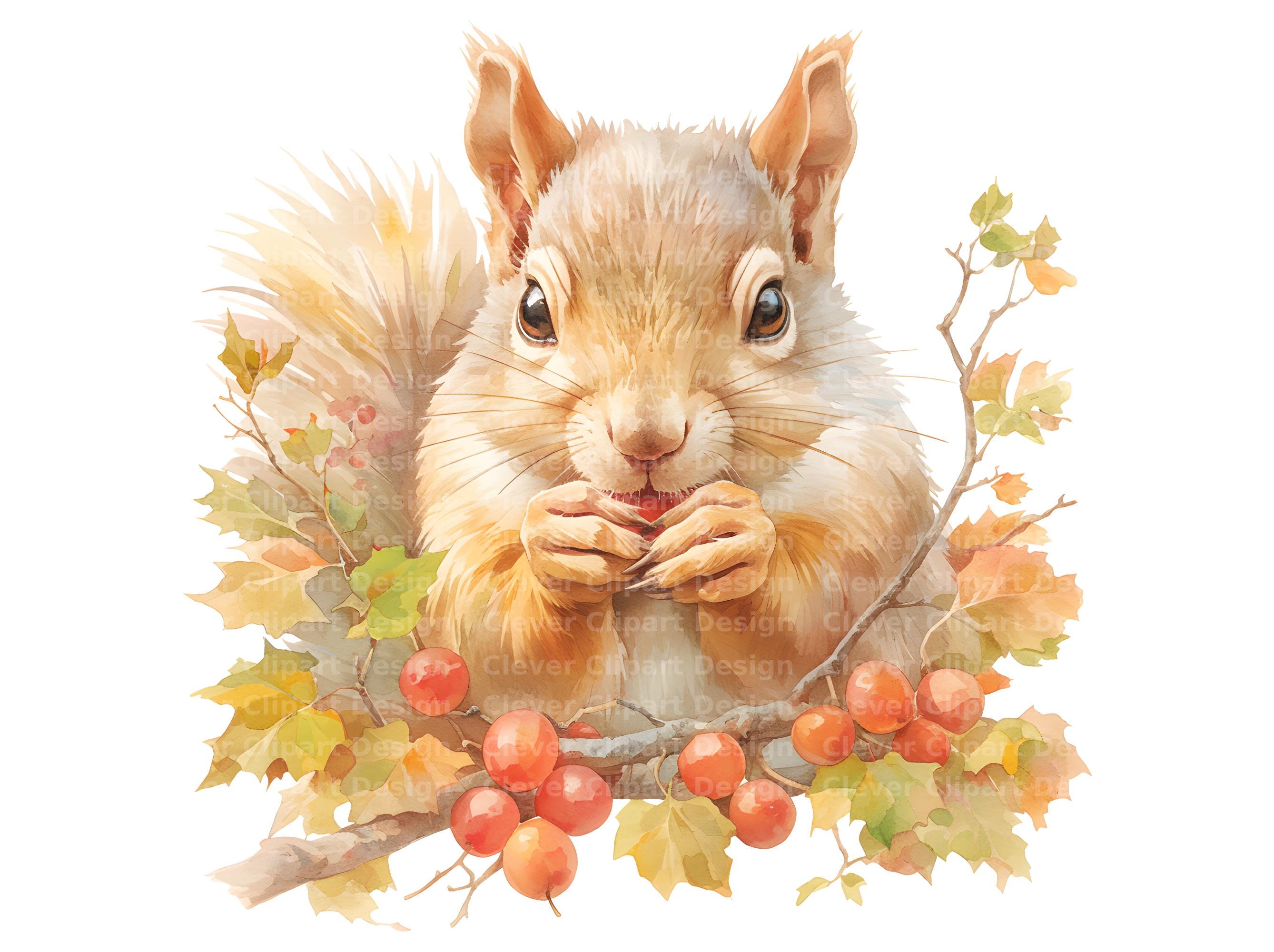 10 Autumn Squirrel Clipart, Fall Squirrel, Leaf, Printable Watercolor ...