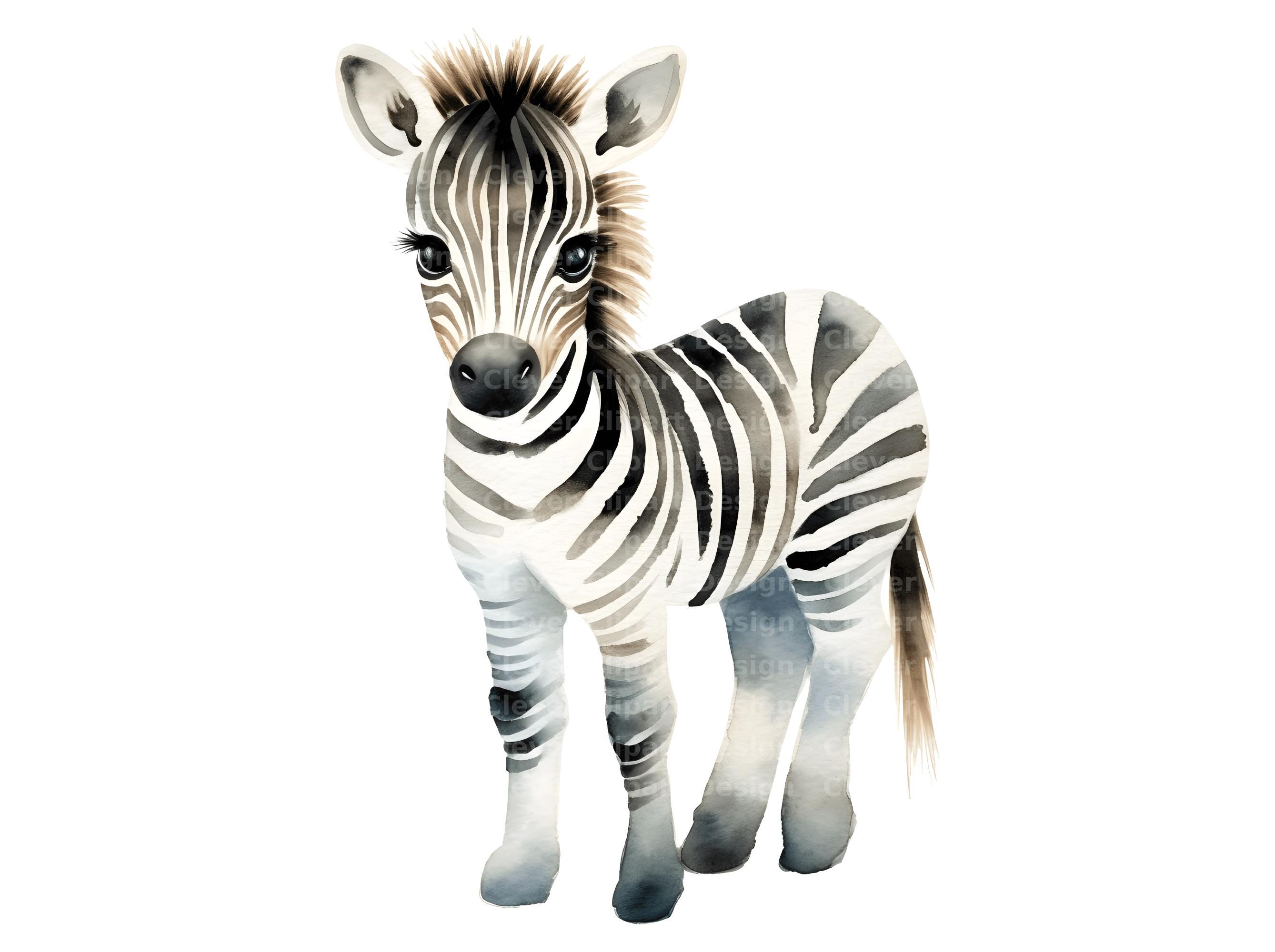 10 Zebra Clipart - Watercolor Baby Zebras, Nursery Animal Set (PNG/JPG ...