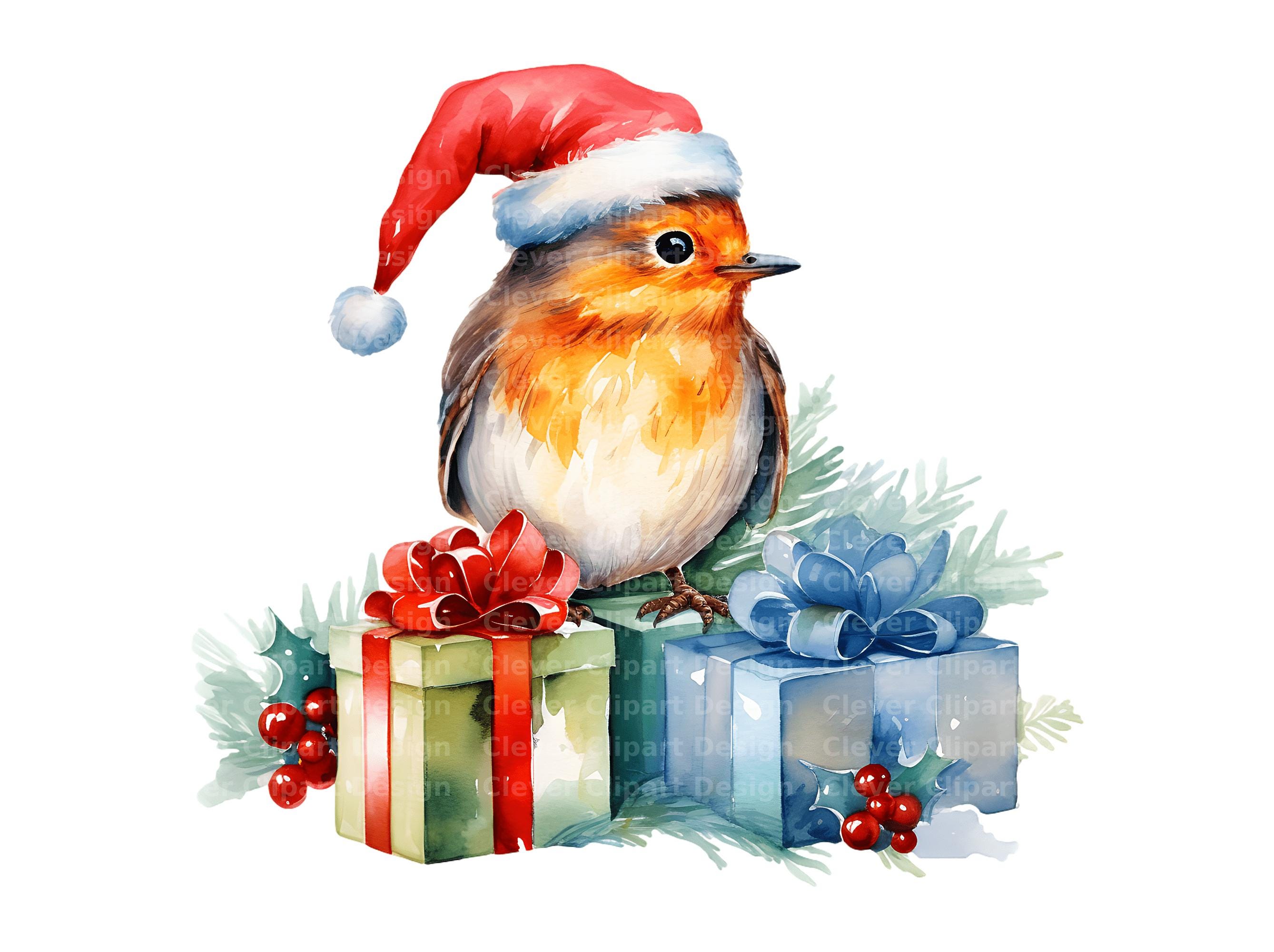 10 Christmas Robin Clipart, Robin in Santa Hat, Winter Robin PNG ...