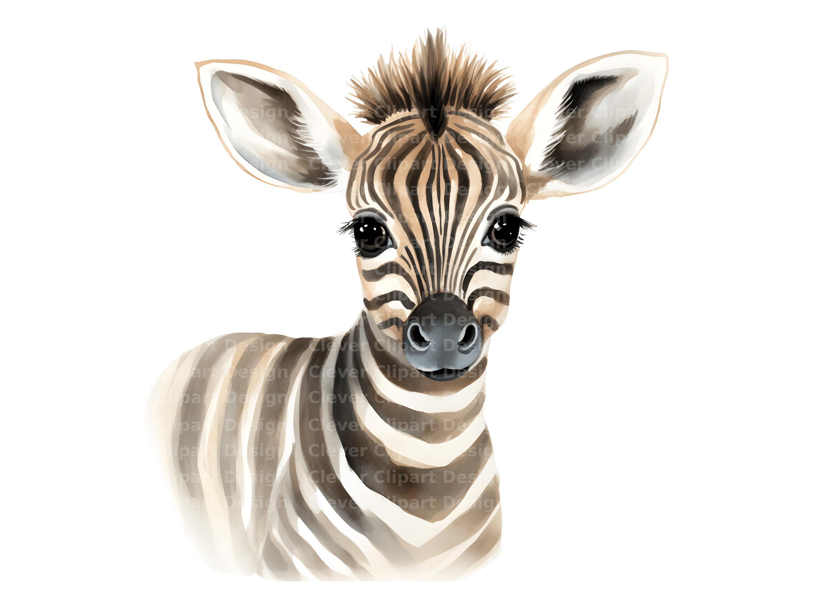 10 Zebra Clipart - Watercolor Baby Zebras, Nursery Animal Set (PNG/JPG ...