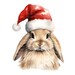 10 Christmas Bunny Clipart - Holiday Bunny With Santa Hat (PNG/JPG ...