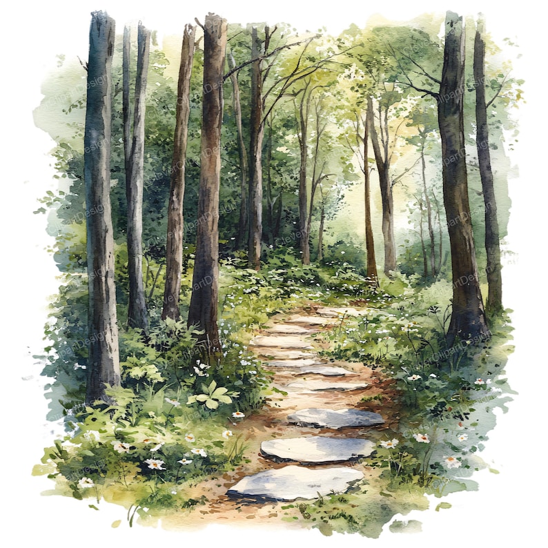 10 Forest Clipart - Watercolor Forest Trail, Woodland Path Picture (PNG ...