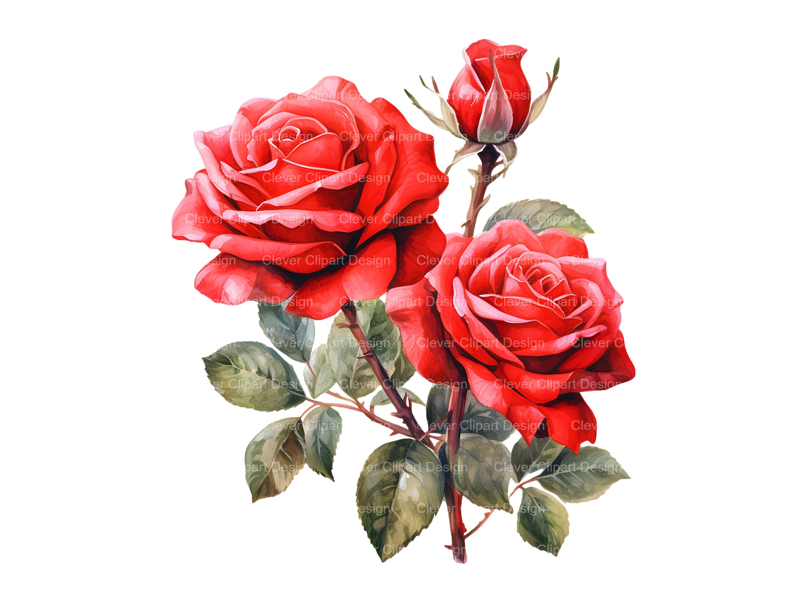 10 Red Roses Clipart, Floral Clipart, Roses Bouquet, Red Roses ...