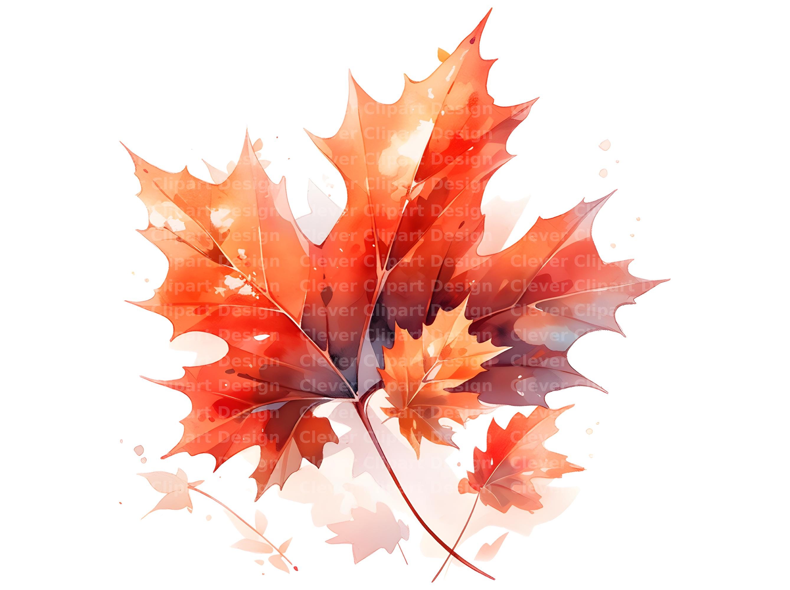 10 Autumn Leaves Clipart, Fall Leaf Clipart, Watercolor Leaf Clipart ...