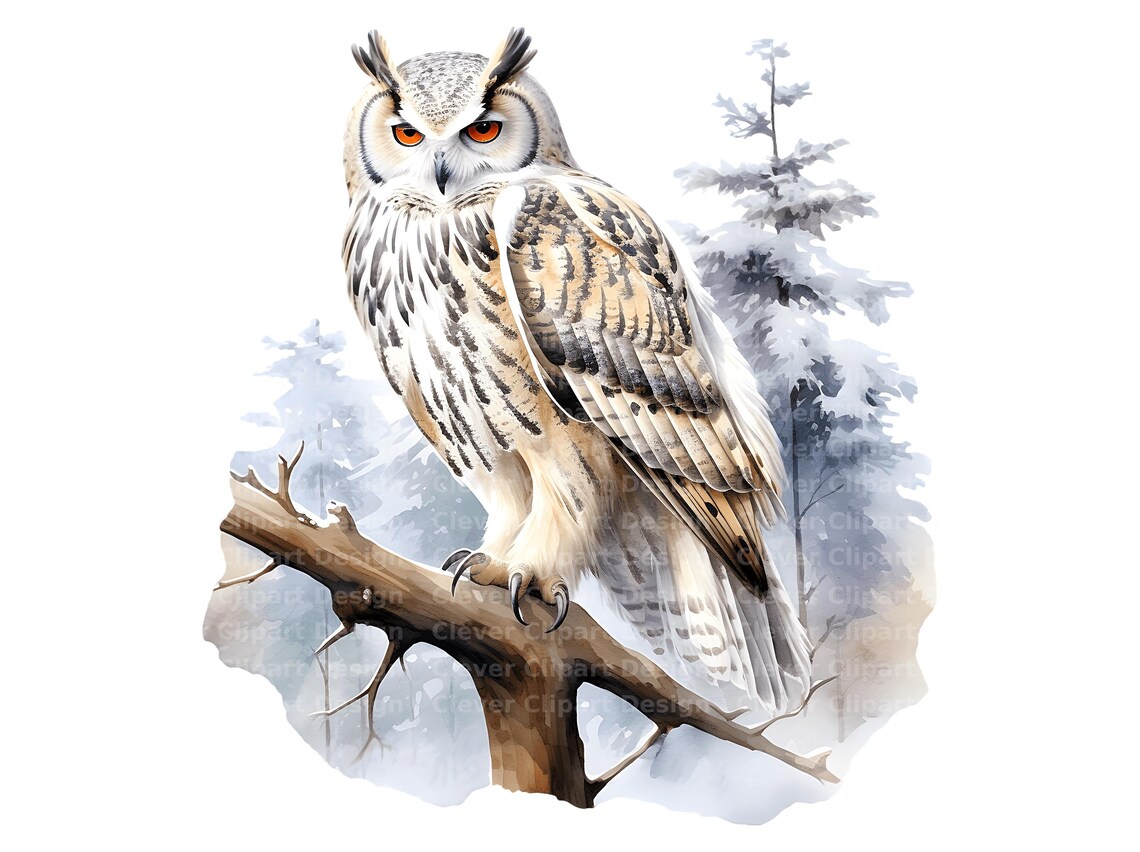 10 Winter Owl Clipart, Snow Owl Clipart, Owl on Snowy Branch, Owl PNG ...