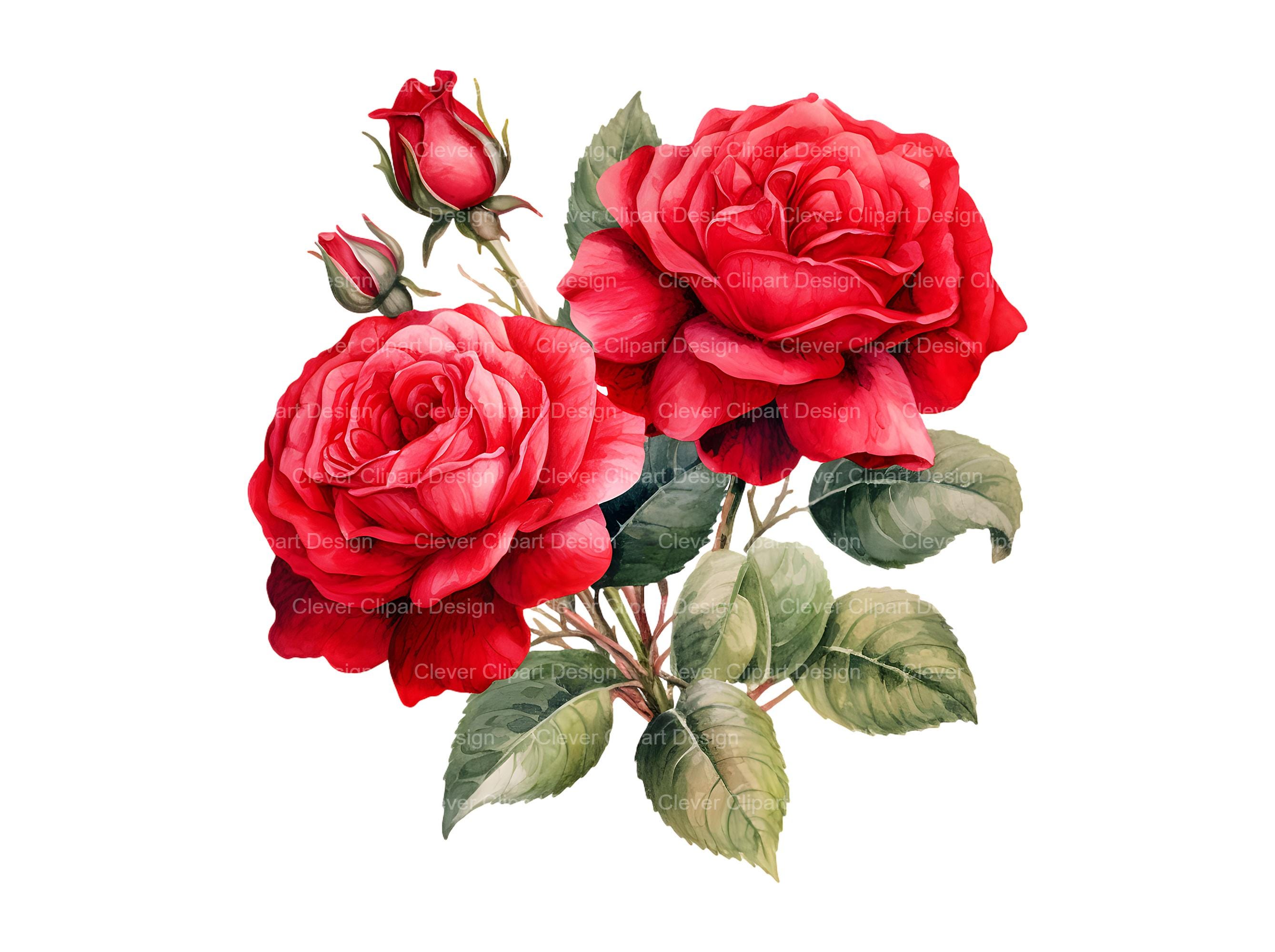 10 Red Roses Clipart, Floral Clipart, Roses Bouquet, Red Roses ...