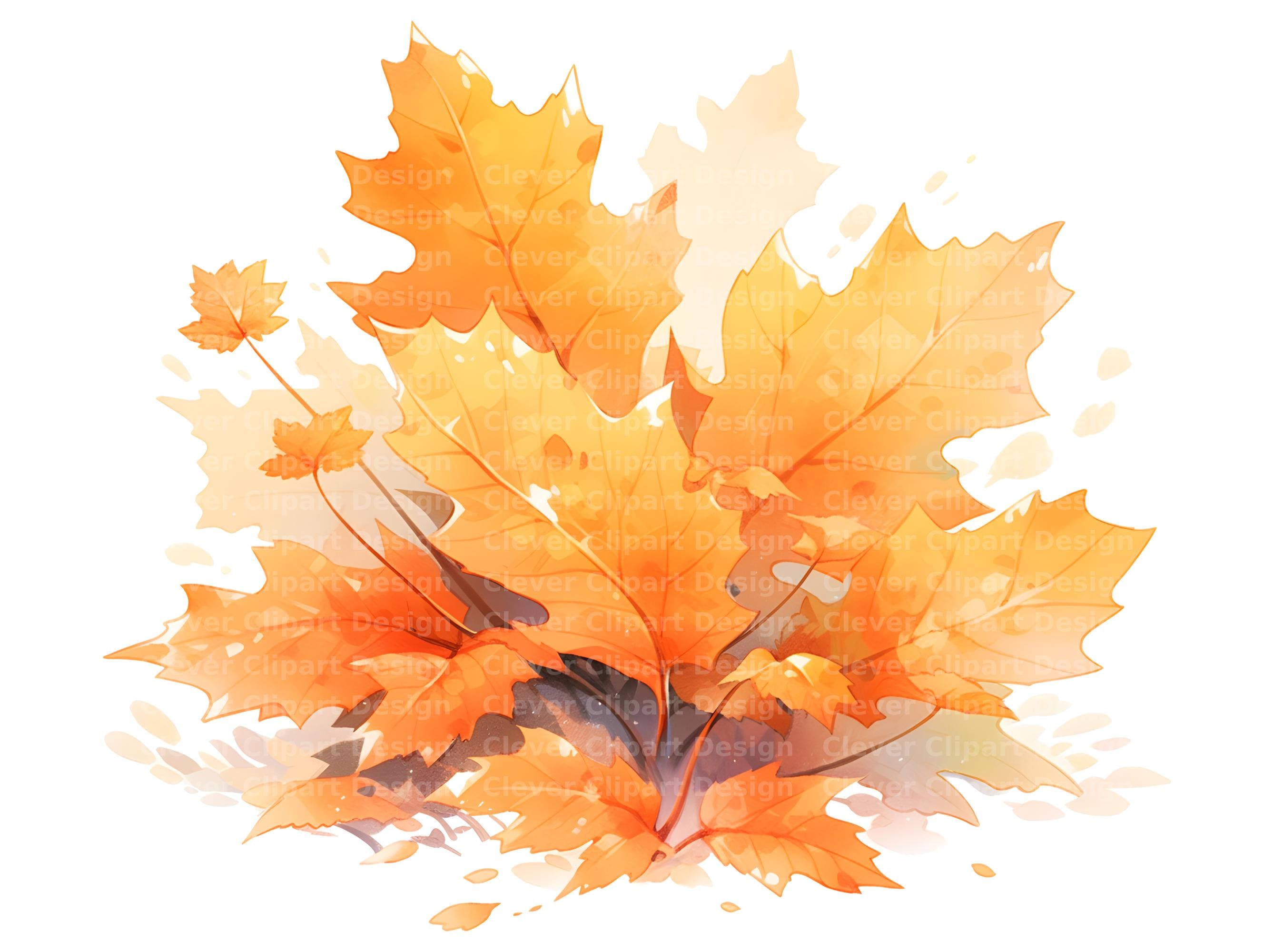 10 Autumn Leaves Clipart, Fall Leaf Clipart, Watercolor Leaf Clipart ...