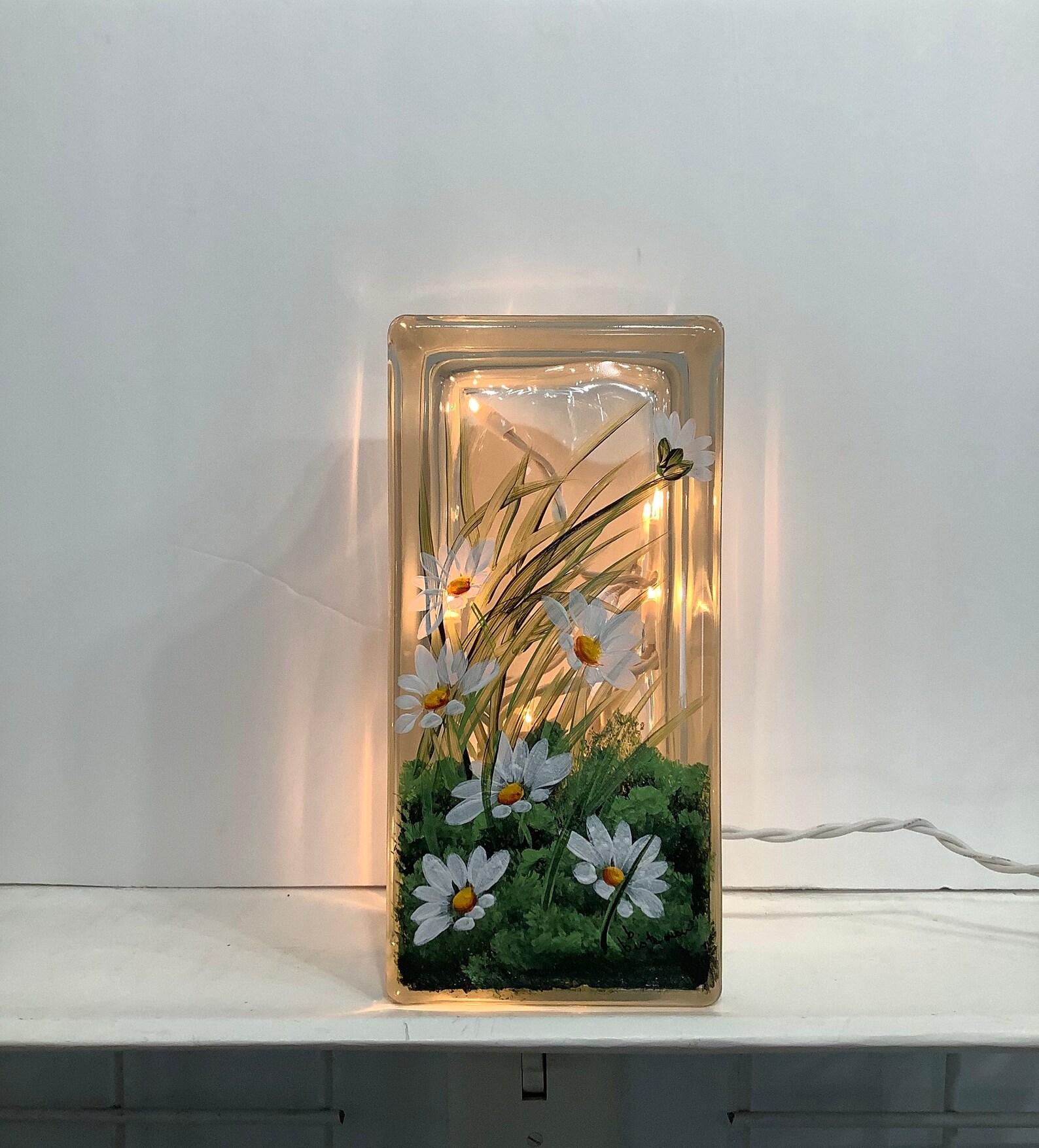 Glass Block Night Light Grass and Dasies - Etsy