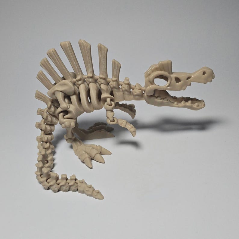 3D Printed Spinosaurus Skeleton Model -posable Sailback Dinosaur ...