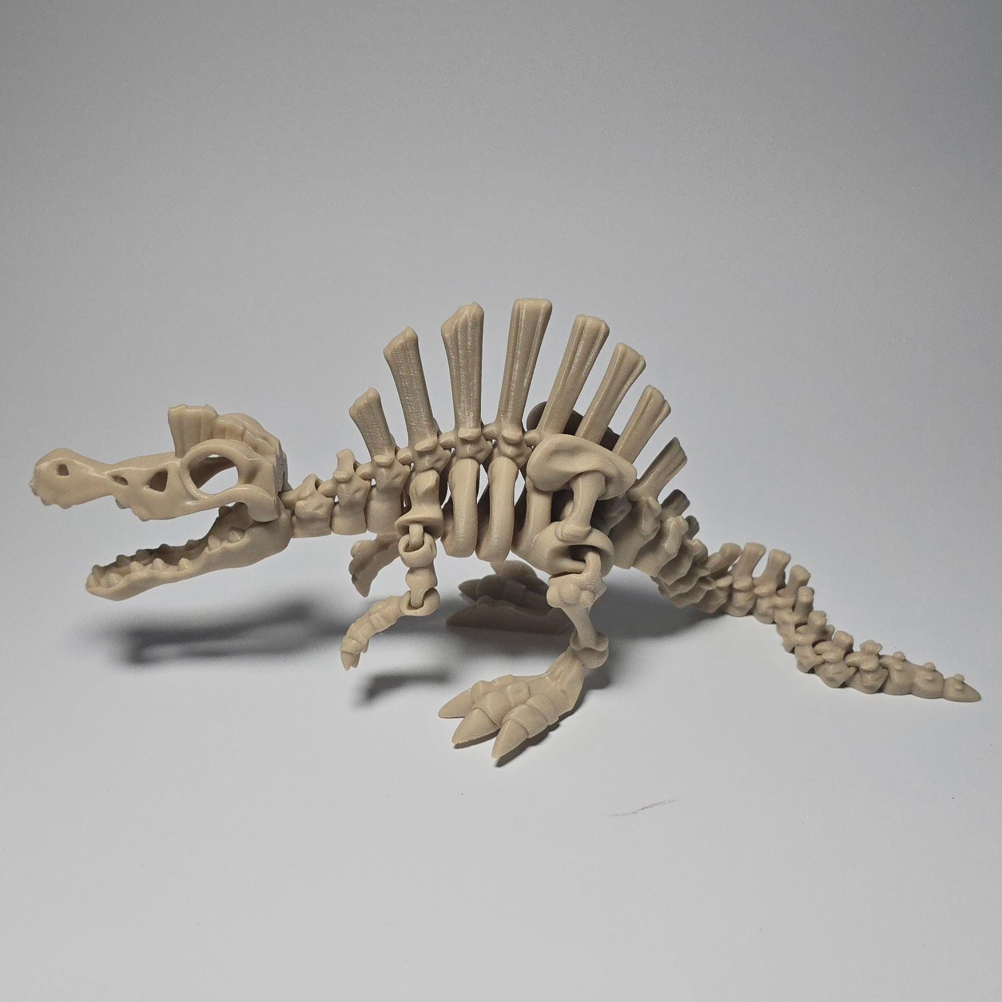 3D Printed Spinosaurus Skeleton Model -posable Sailback Dinosaur ...