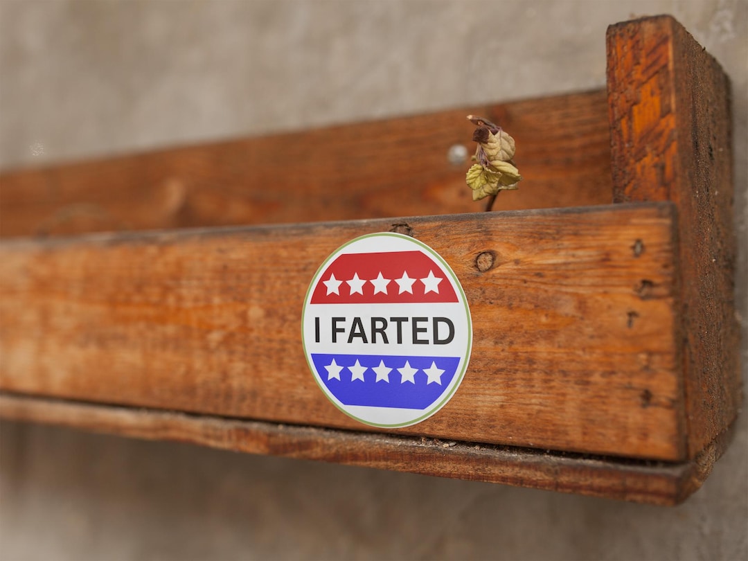 I Farted Voting Sticker Kiss-cut Stickers - Etsy