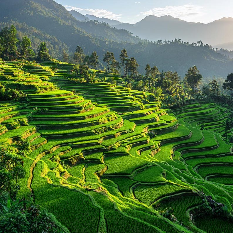 23 Rice Terraces Clipart, Green Hills Landscape Art, Serene Natural ...