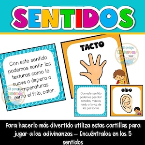 Spanish 5 Senses - Body Parts Activities - Worksheets, Cards, Printable ...
