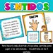 Spanish 5 Senses - Body Parts Activities - Worksheets, Cards, Printable ...