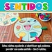 Spanish 5 Senses - Body Parts Activities - Worksheets, Cards, Printable ...