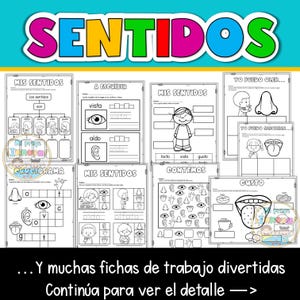 Spanish 5 Senses - Body Parts Activities - Worksheets, Cards, Printable ...