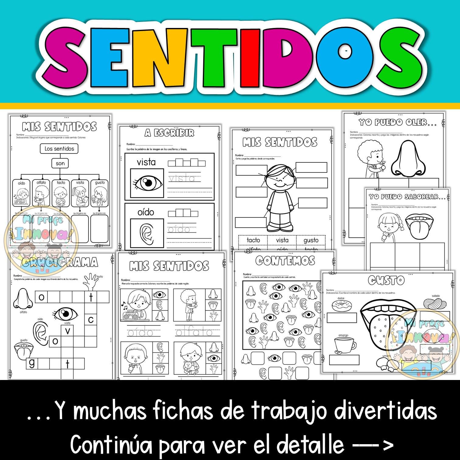 Spanish 5 Senses - Body Parts Activities - Worksheets, Cards, Printable ...