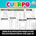 Partes Del Cuerpo - Spanish Body Parts Printable & Worksheets - Human ...