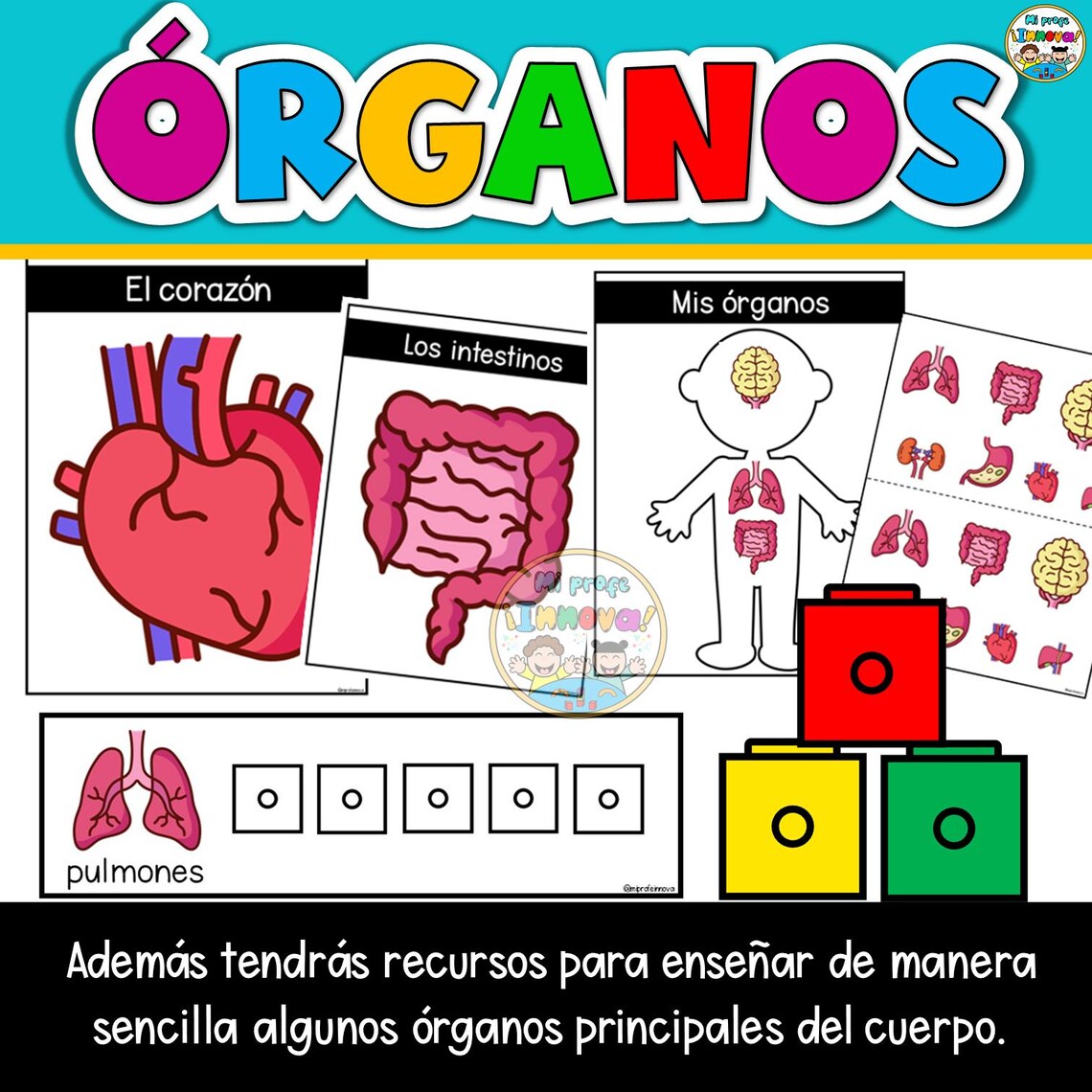 Partes Del Cuerpo - Spanish Body Parts Printable & Worksheets - Human ...