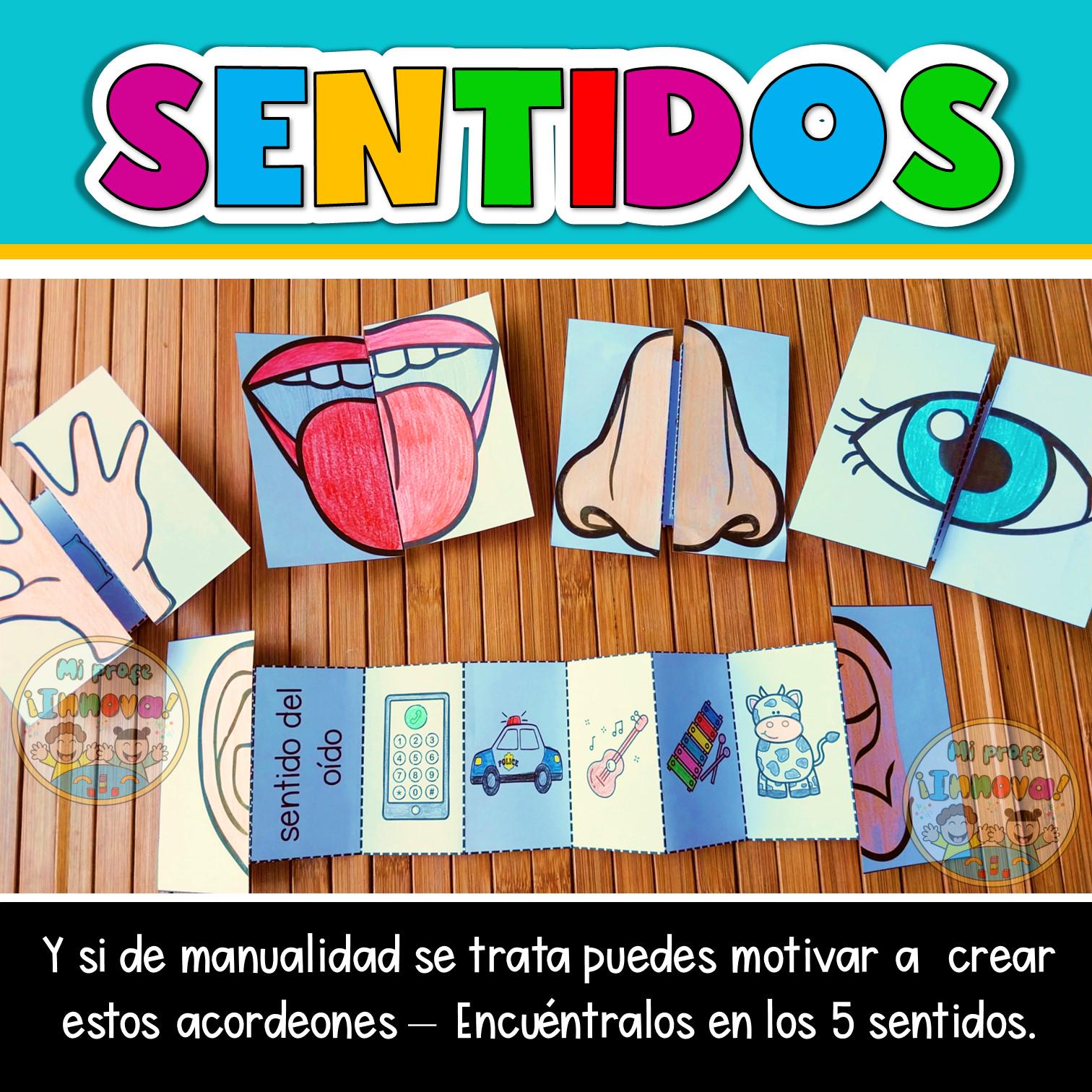 Spanish 5 Senses - Body Parts Activities - Worksheets, Cards, Printable ...