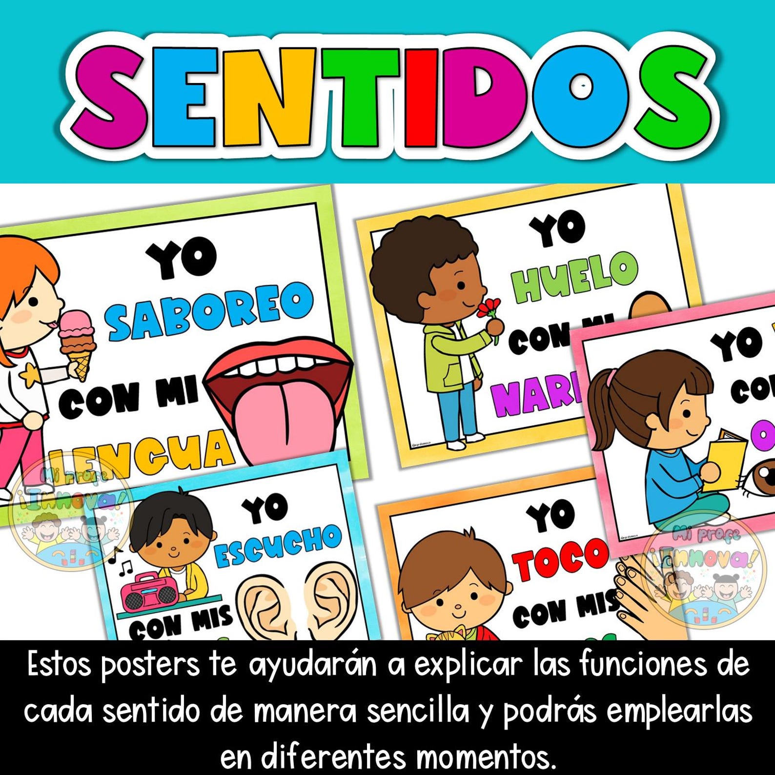 Spanish 5 Senses - Body Parts Activities - Worksheets, Cards, Printable ...