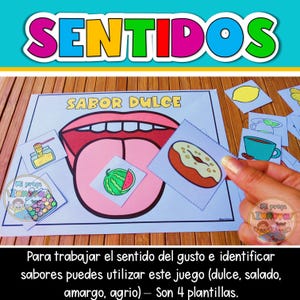 Spanish 5 Senses - Body Parts Activities - Worksheets, Cards, Printable ...
