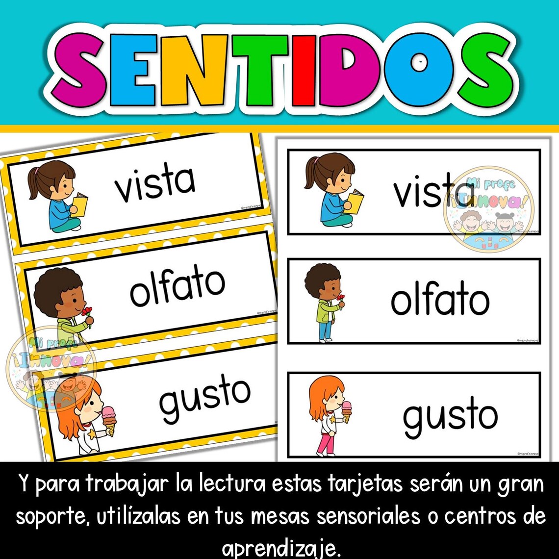 Spanish 5 Senses - Body Parts Activities - Worksheets, Cards, Printable ...