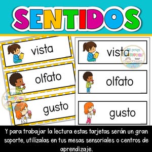Spanish 5 Senses - Body Parts Activities - Worksheets, Cards, Printable ...