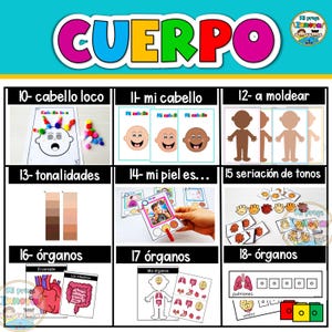 Partes Del Cuerpo - Spanish Body Parts Printable & Worksheets - Human ...