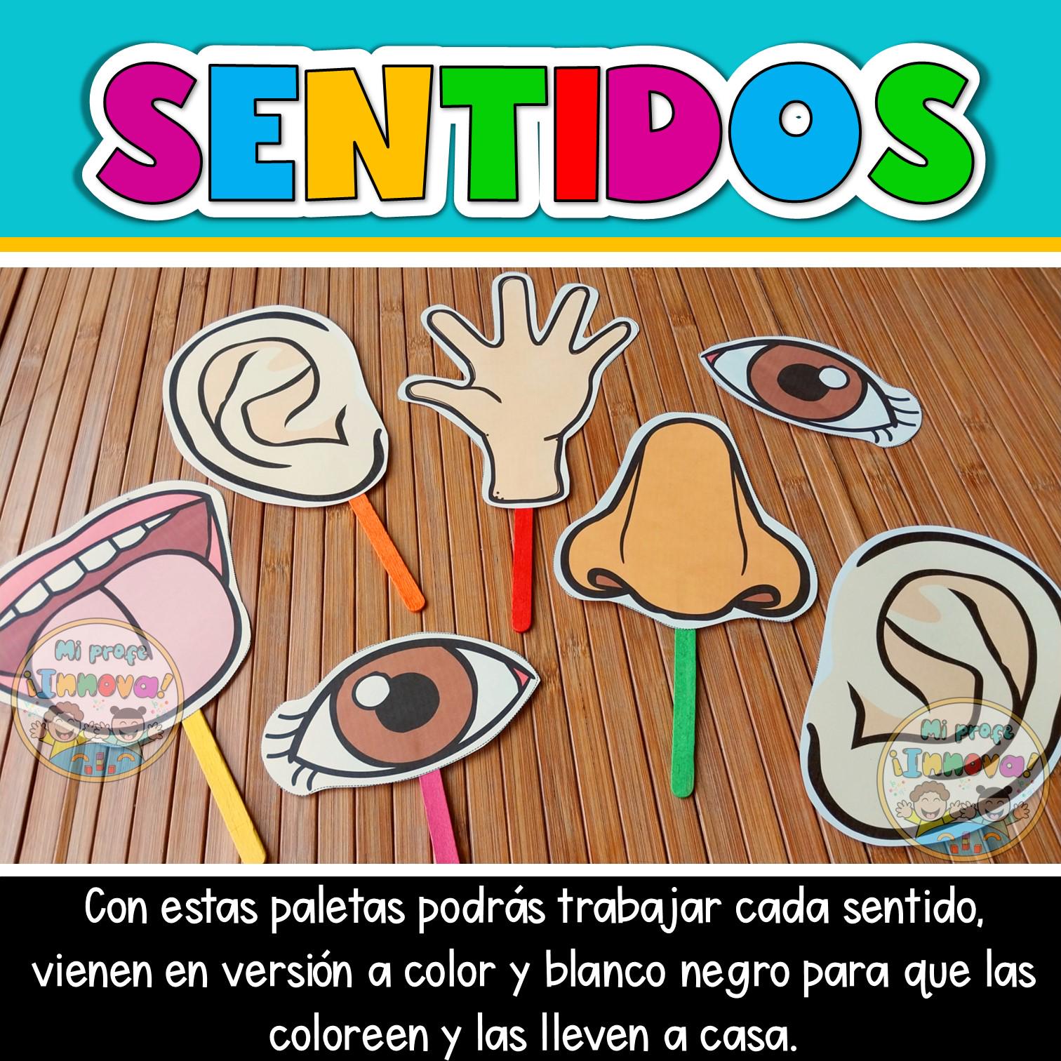 Spanish 5 Senses - Body Parts Activities - Worksheets, Cards, Printable ...