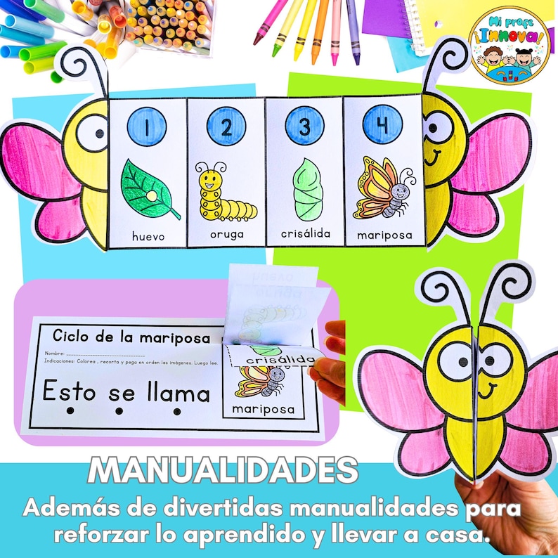Butterfly Life Cycle in Spanish – Activities & Craft for Kindergarten ...