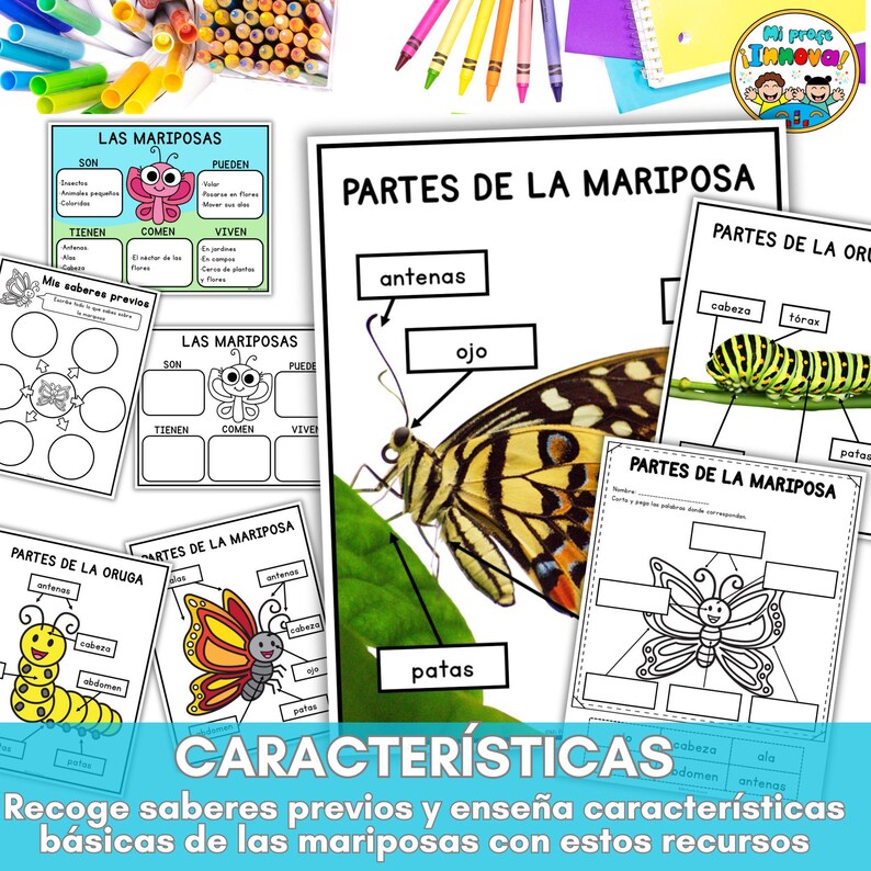 Butterfly Life Cycle in Spanish – Activities & Craft for Kindergarten ...