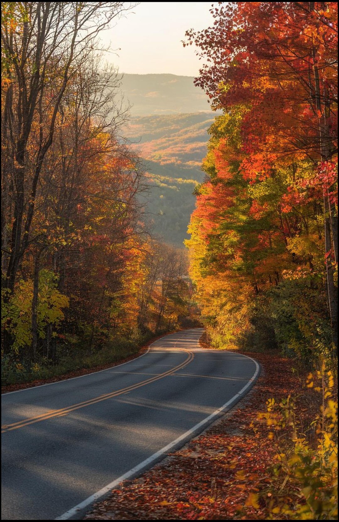 Autumn Road in Forest, Fall Themed Wall Art, Scenic Landscape Poster ...