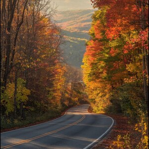 Autumn Road in Forest, Fall Themed Wall Art, Scenic Landscape Poster ...