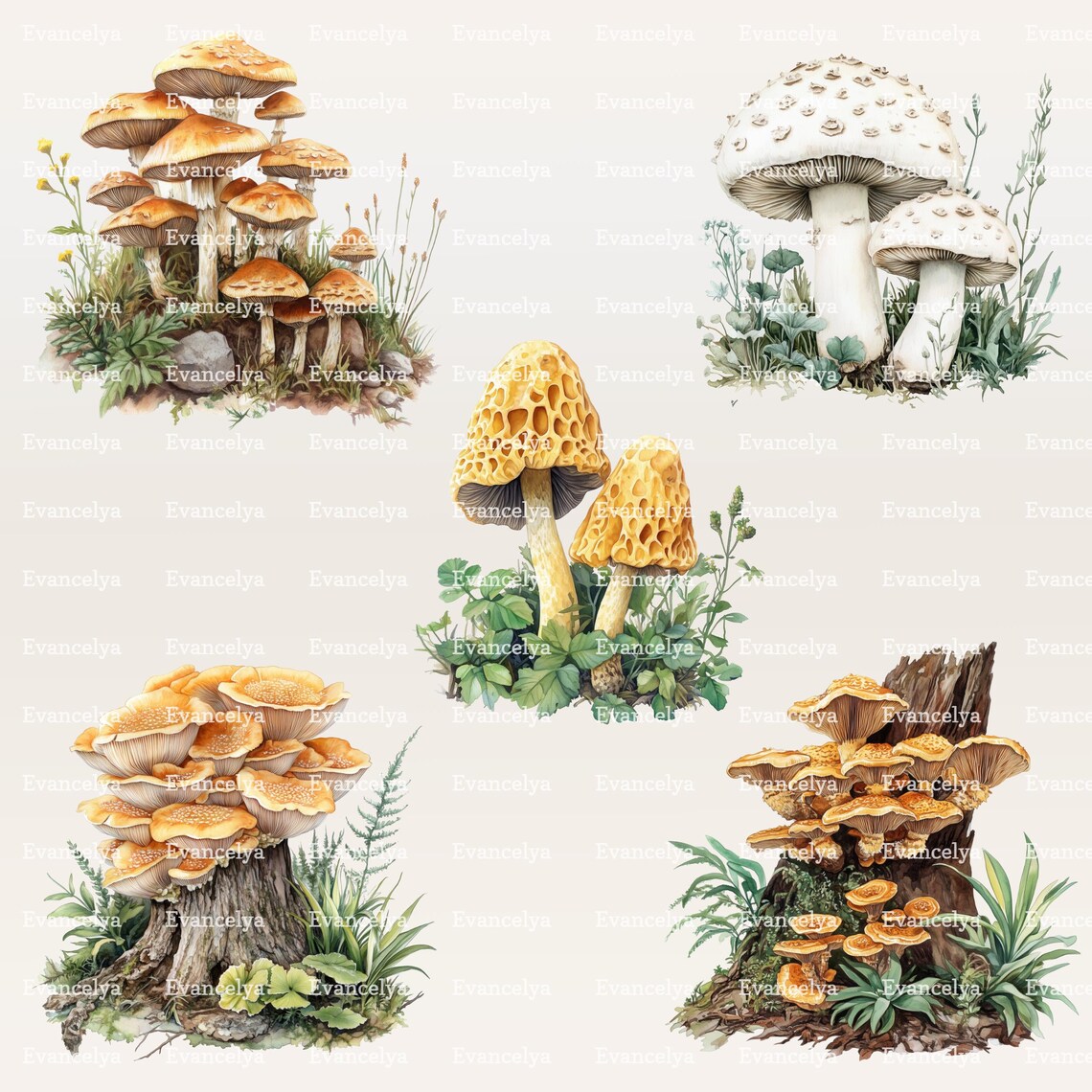 Watercolor Mushroom Clip Art | Printable Digital Download | Mushroom ...