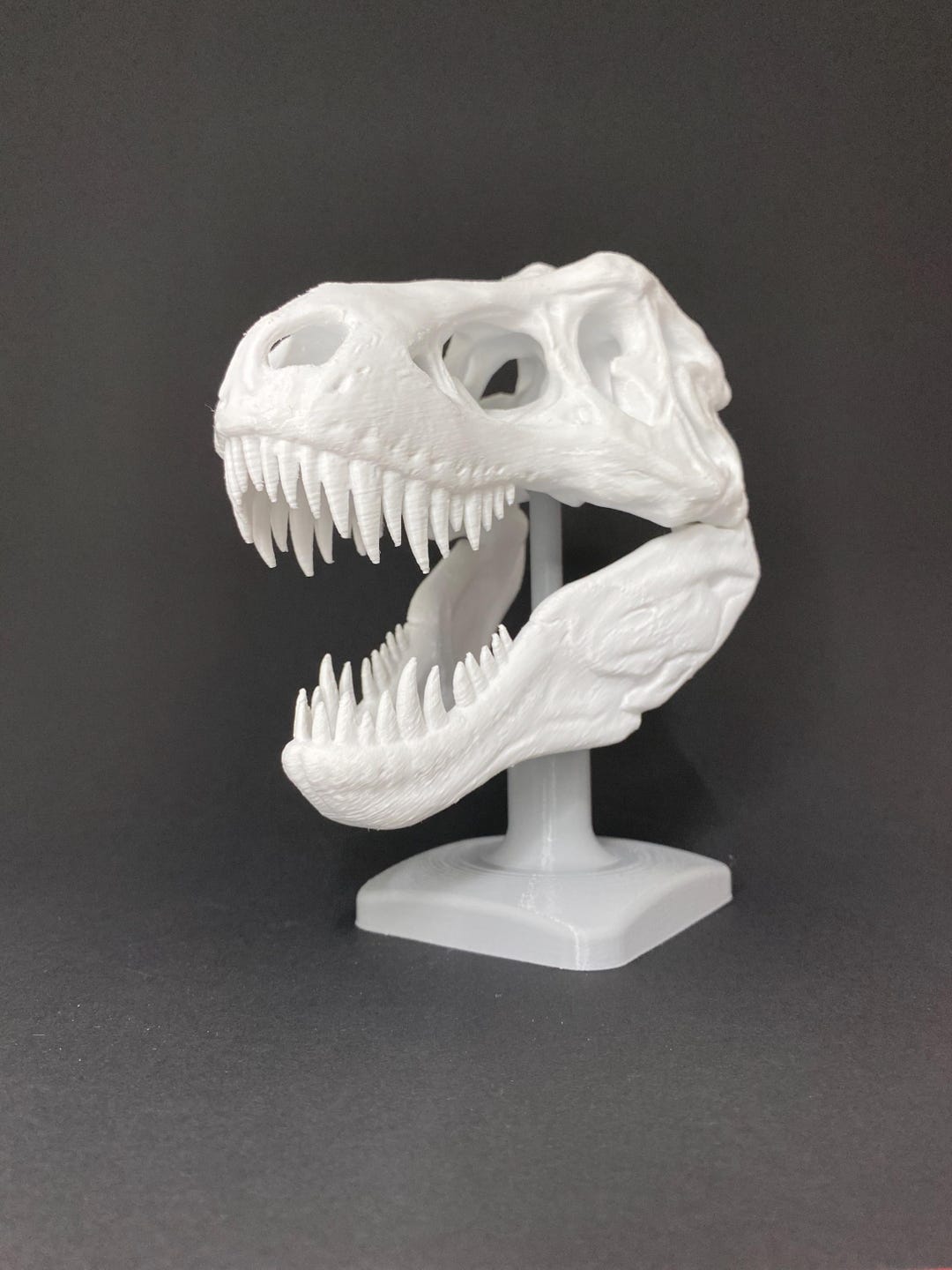 T-rex Skull, Tyrannosaurus Rex Skull and Stand, Decorative Animal ...