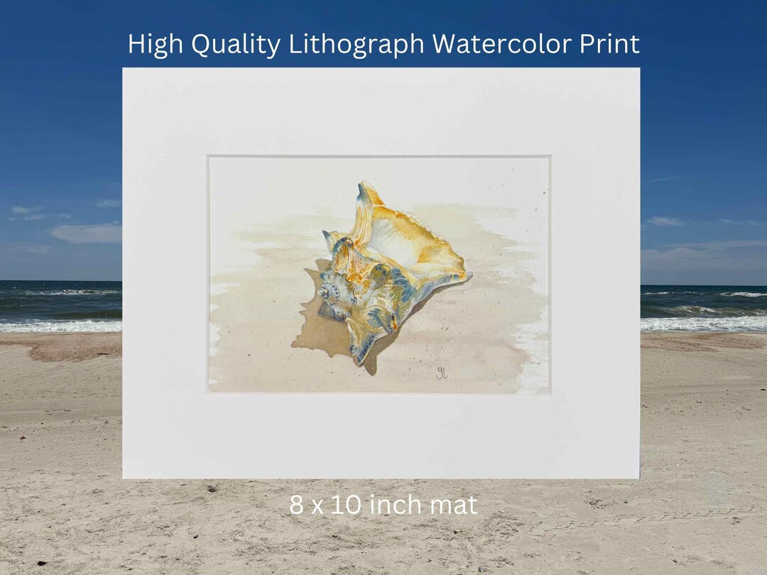 8x10 Conch Shell Art With Mat, Blue and Cream Yellow Gold Wall Art ...